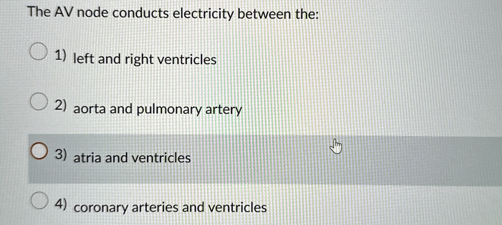 the av node conducts electricity between the 1 left and right ...