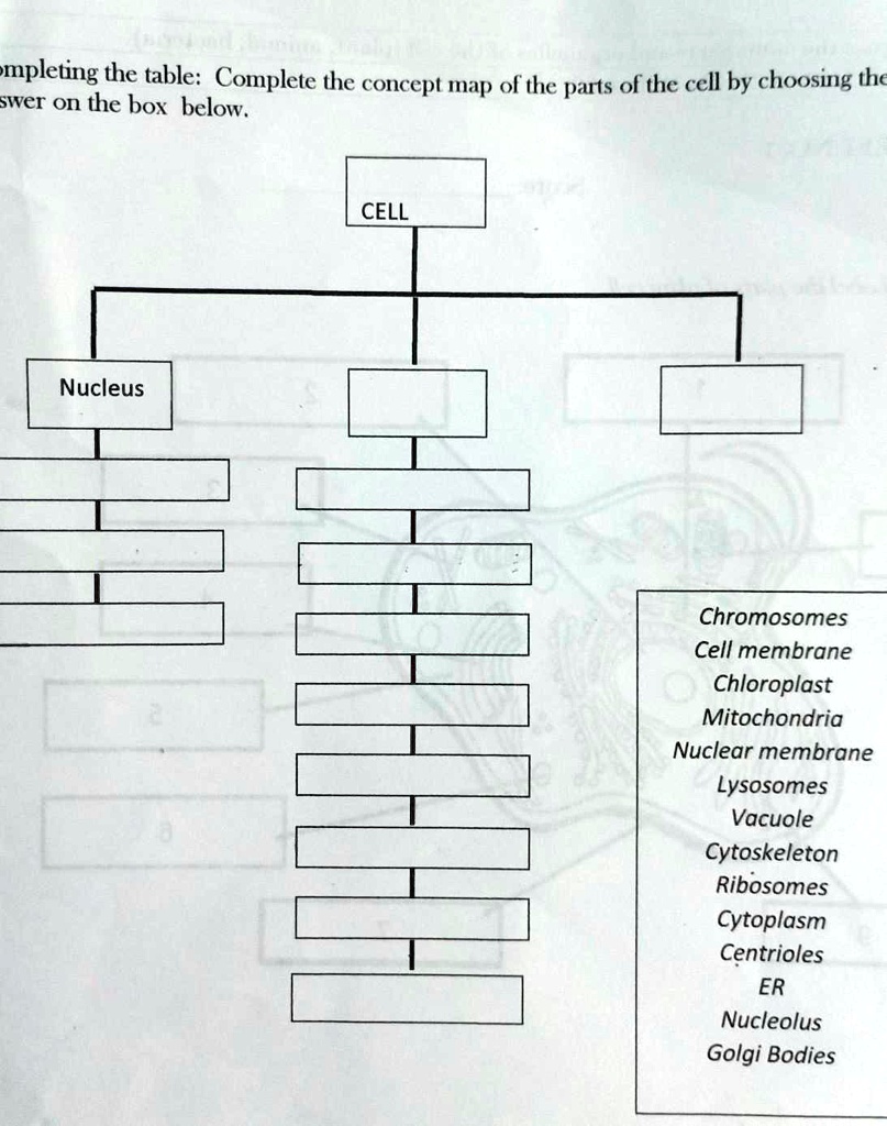 [GET ANSWER] Completing the table: Complete the concept map of the ...