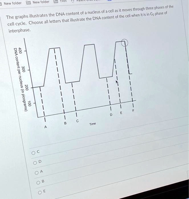 The graphs illustrates the DNA content of a nucleus of a cell as it ...