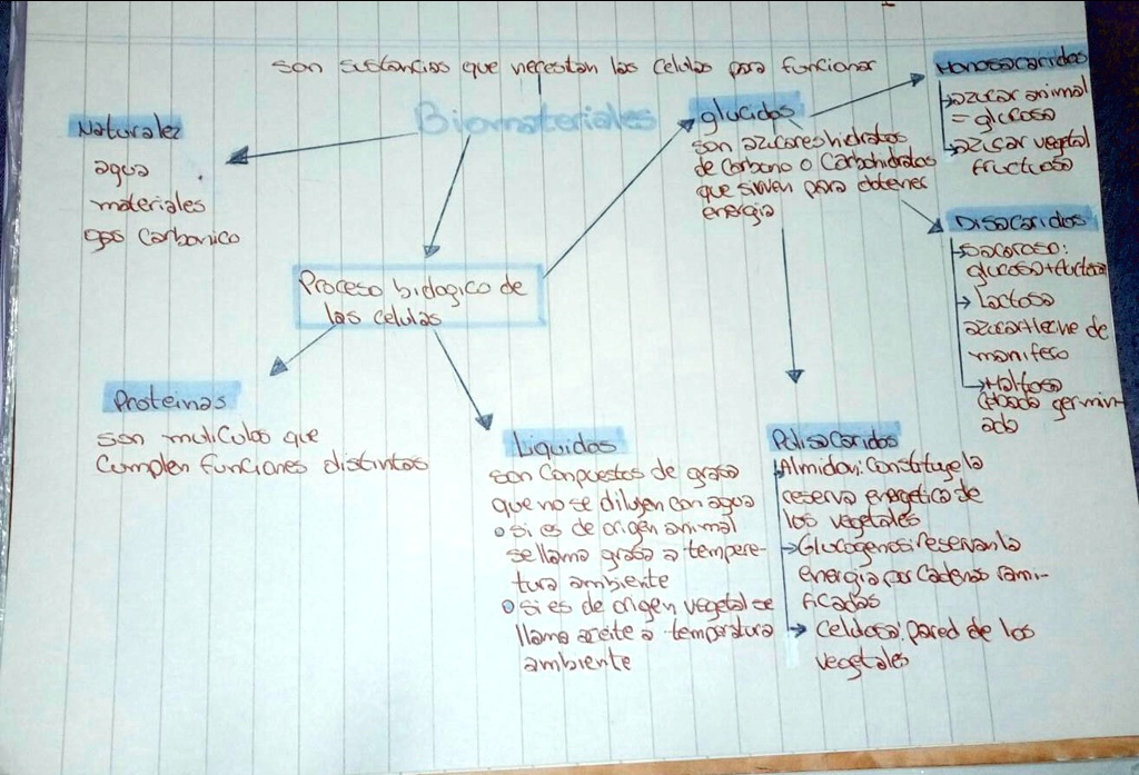 SOLVED: De donde las celulas toman estos biomateriales para realizar ...