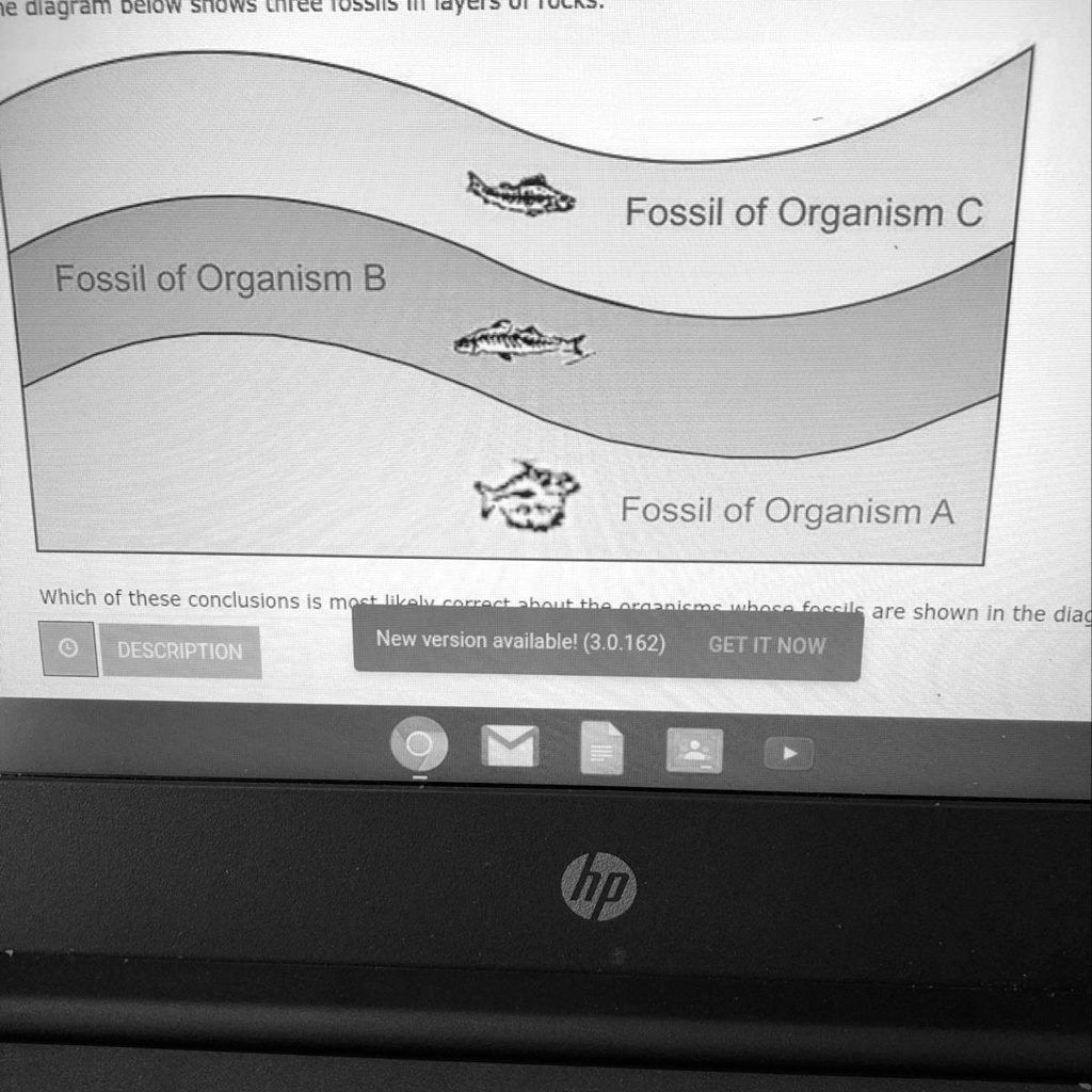 he diagram below shows three fossils in layers of rocks. Fossil of Organism C Fossil of Organism ...