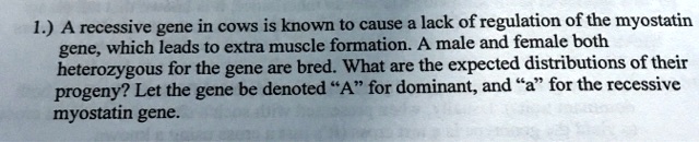 SOLVED: A recessive gene in cows is known to cause a lack of regulation ...