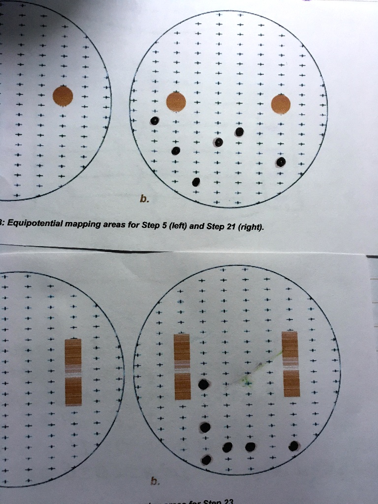 equipotential mapping areas for step 5 left and step 21 right 89812