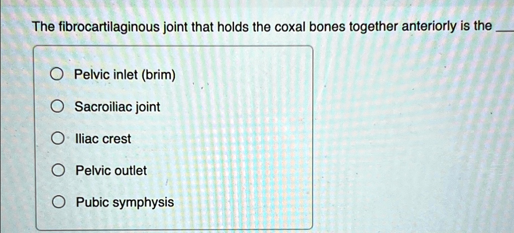 The fibrocartilaginous joint that holds the coxal bones together ...
