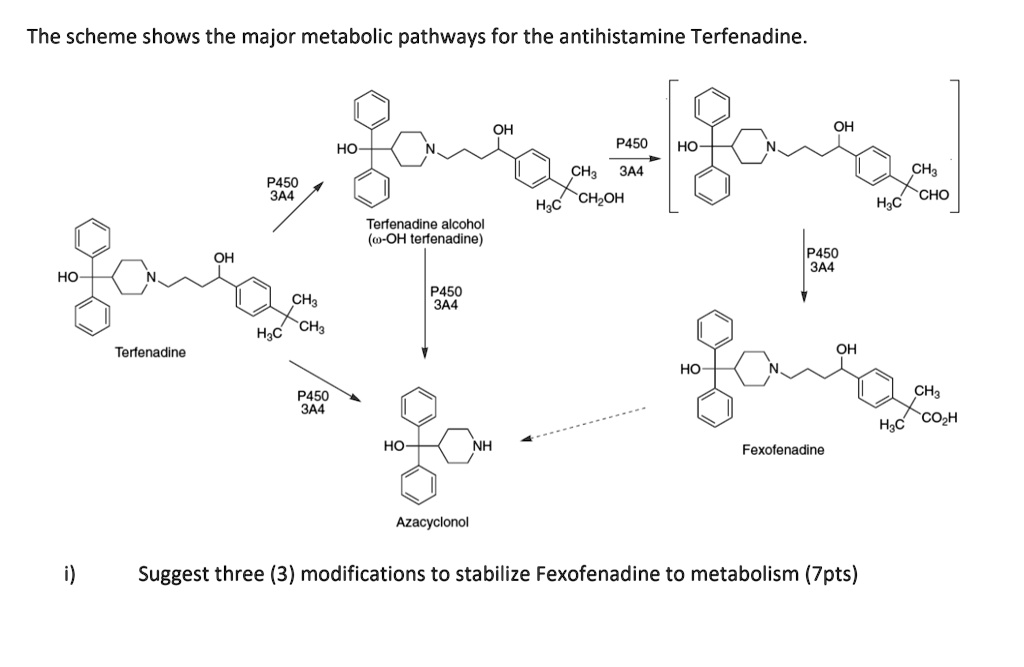 the scheme shows the major metabolic pathways for the antihistamine ...