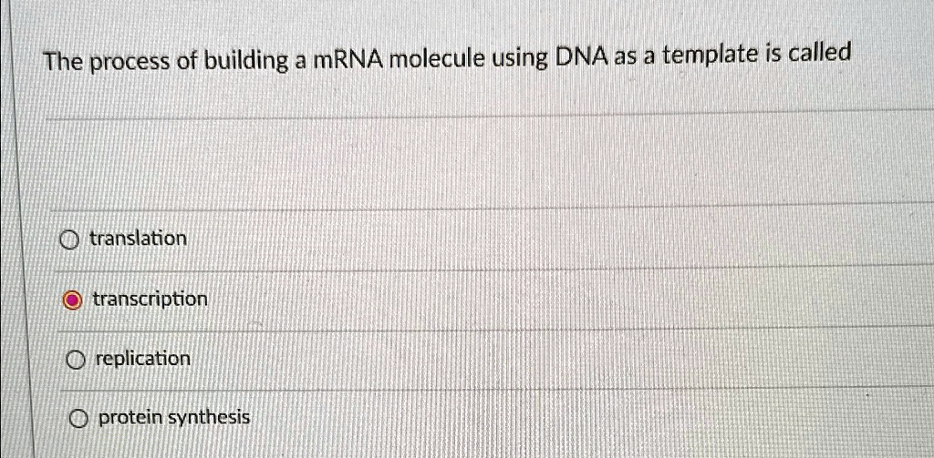 The process of building a mRNA molecule using DNA as a...