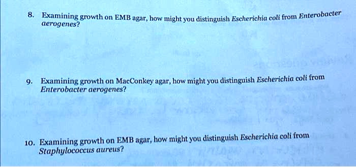 8. Examining growth on EMB agar, how might you distinguish Escherichia ...