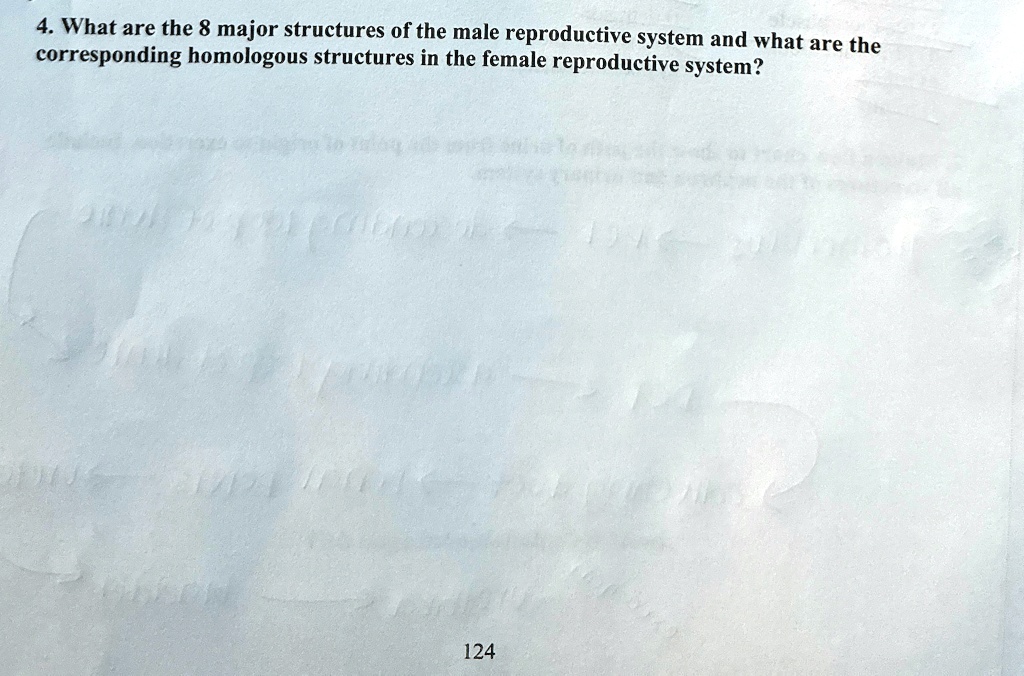 4 what are the 8 major structures of the male reproductive system and ...
