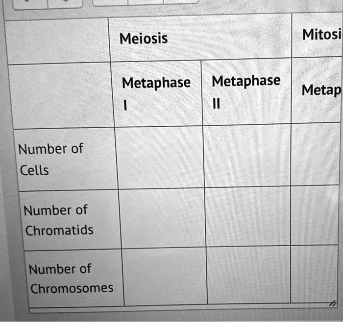 SOLVED: Meiosis Mitosis Metaphase Number of Cells Number of Chromatids ...