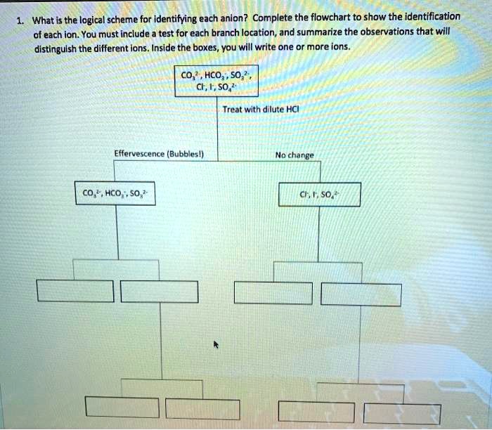 what is the logical scheme for identifving each anion complete the ...