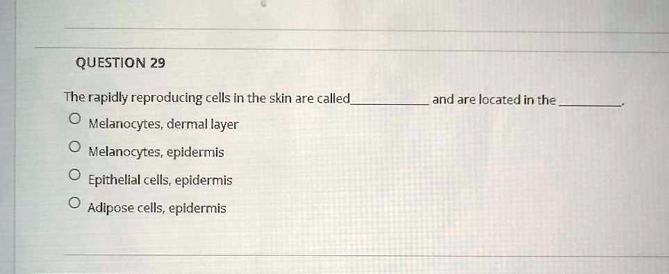 question 29 the rapidly reproducing cells in the skin are called ...