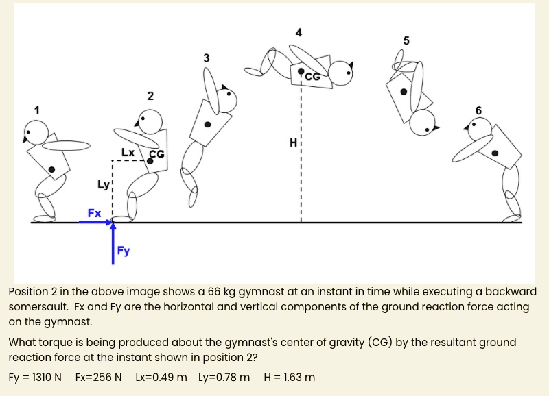 position 2 in the above image shows a 66 kg gymnast at an instant in ...