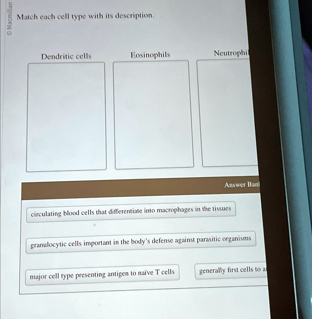 SOLVED: Match each cell type with its description. Dendritic cells ... SOLVED: Match each cell type with its description. Dendritic cells ...