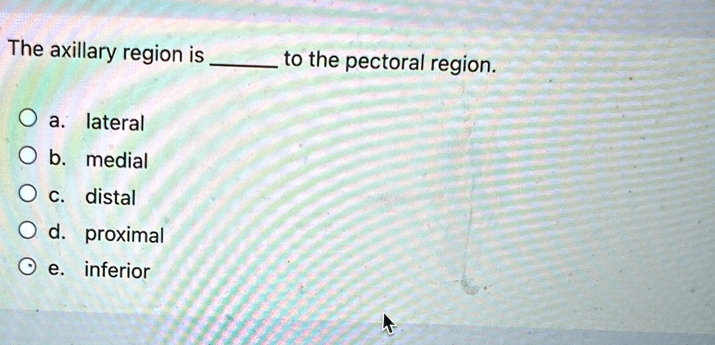 The axillary region is to the pectoral region. a. lateral b. medial c ...