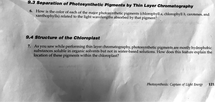 SOLVED:9.3 Separation of Photosynthetic Pigments by Thin Layer ...