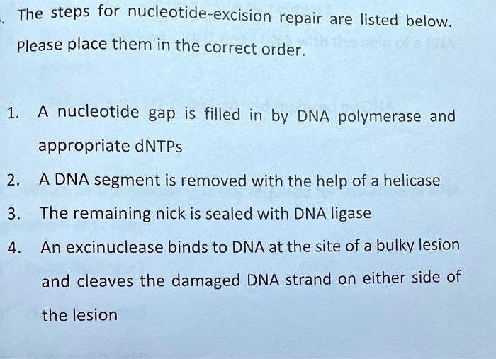 SOLVED: The steps for nucleotide-excision repair are listed below ...