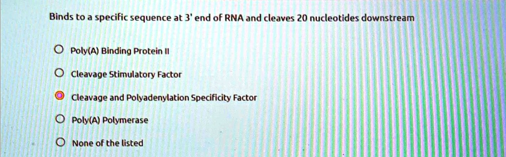 Video Solution Binds To A Specific Sequence At The 3 End Of Rna And