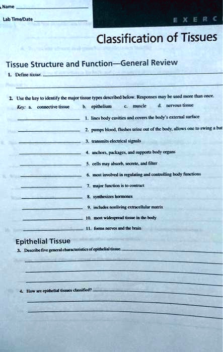 Name Lab Time/Date EXERC Classification of Tissues Tissue Structure and ...