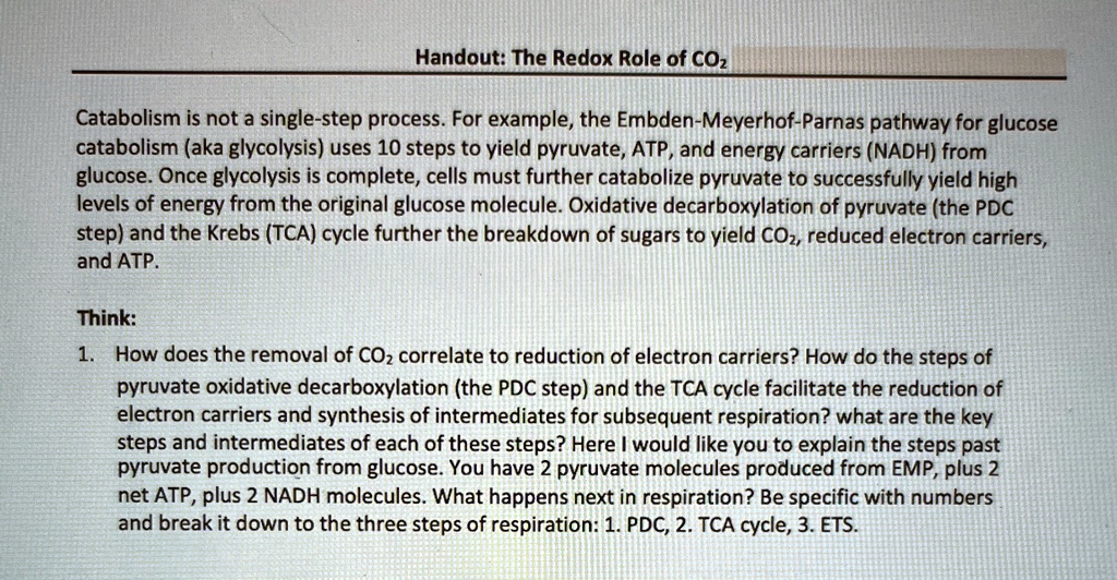 Handout: The Redox Role of CO2 Catabolism is not a single-step process ...