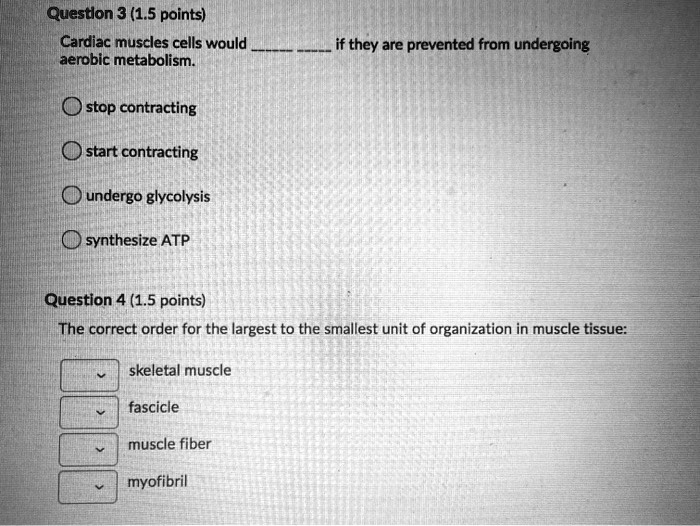 Question 3 (1.5 points) Cardiac muscles cells would if they are prevented from undergoing ...