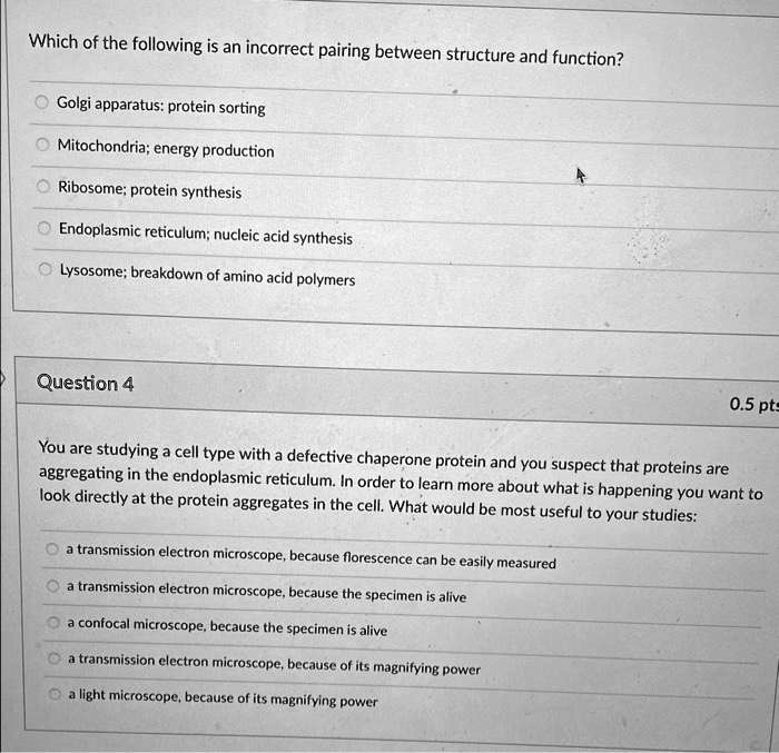 SOLVED: Which of the following is an incorrect pairing between ...