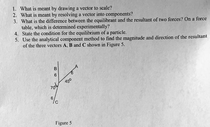 SOLVED:What is meant by drawing vector t0 scale? What is meant by resolving vector into ...