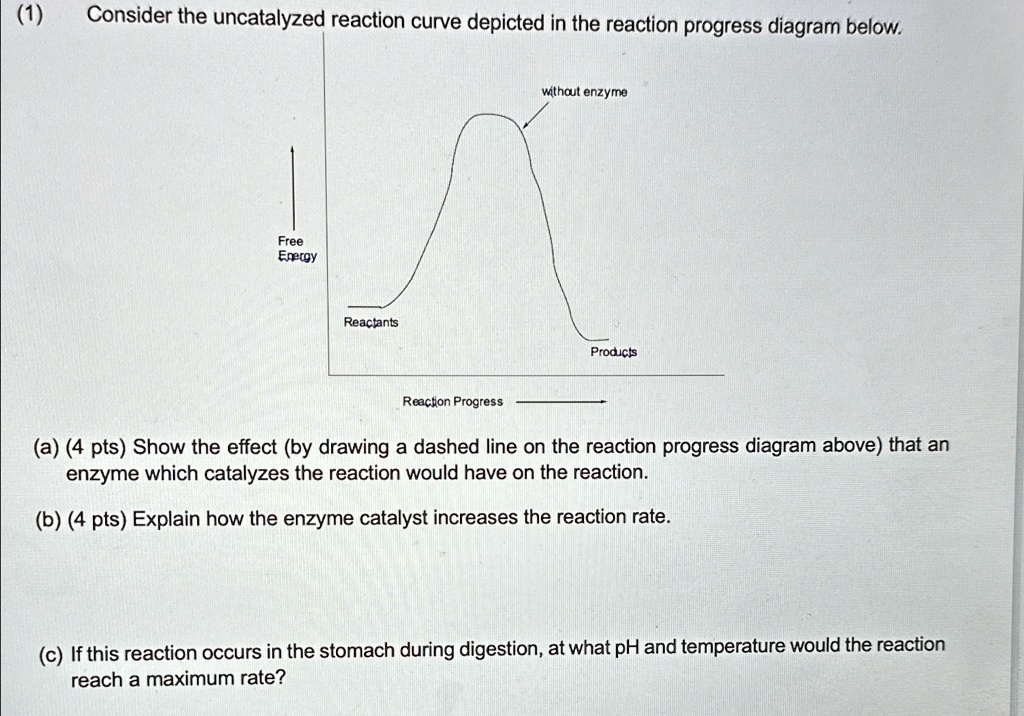 (1) Consider the uncatalyzed reaction curve depicted in the reaction ...