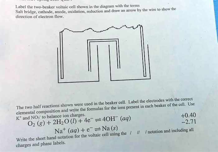 SOLVED: Label the two-beaker voltaic cell shown in the diagram with the ...