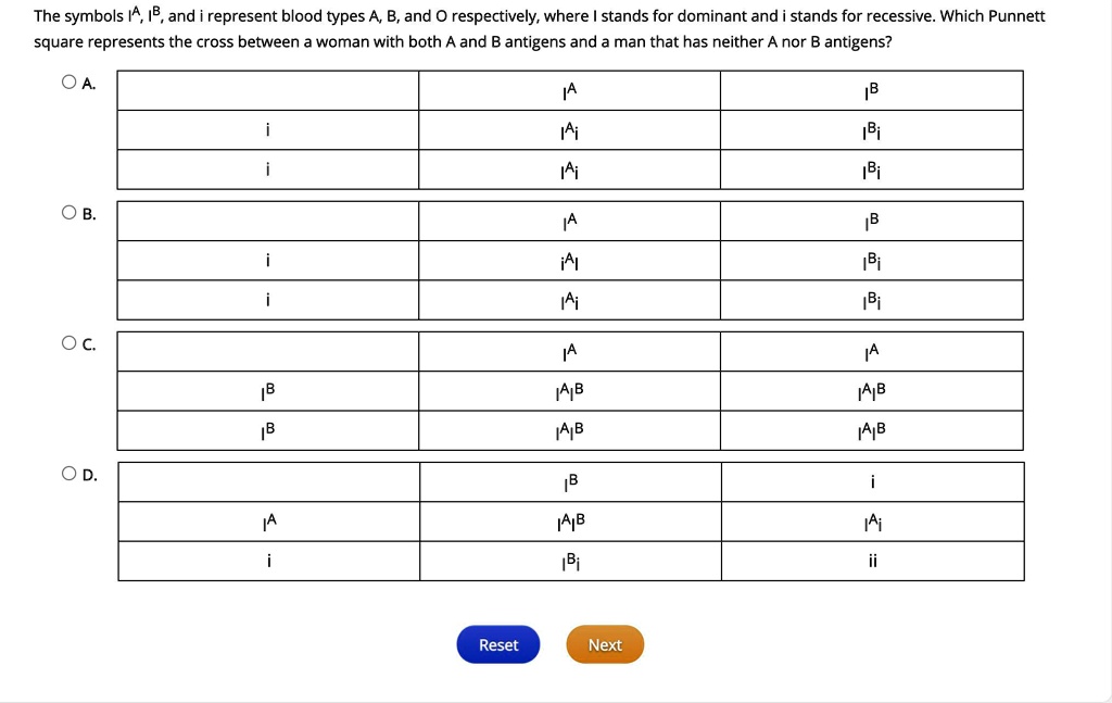 SOLVED: The symbols IA, IB, and i represent blood types A, B, and O ...