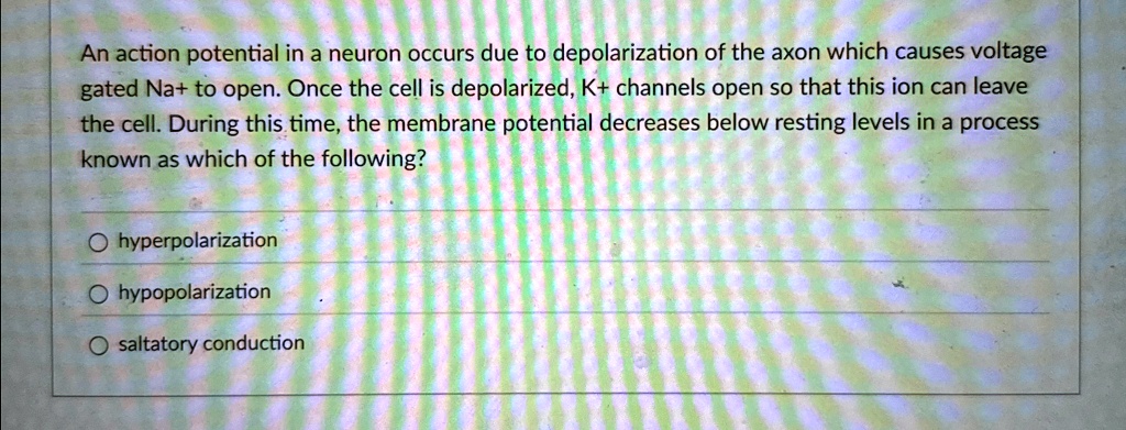 An Action Potential In A Neuron Occurs Due To Depolarization Of The Axon Which Causes Voltage