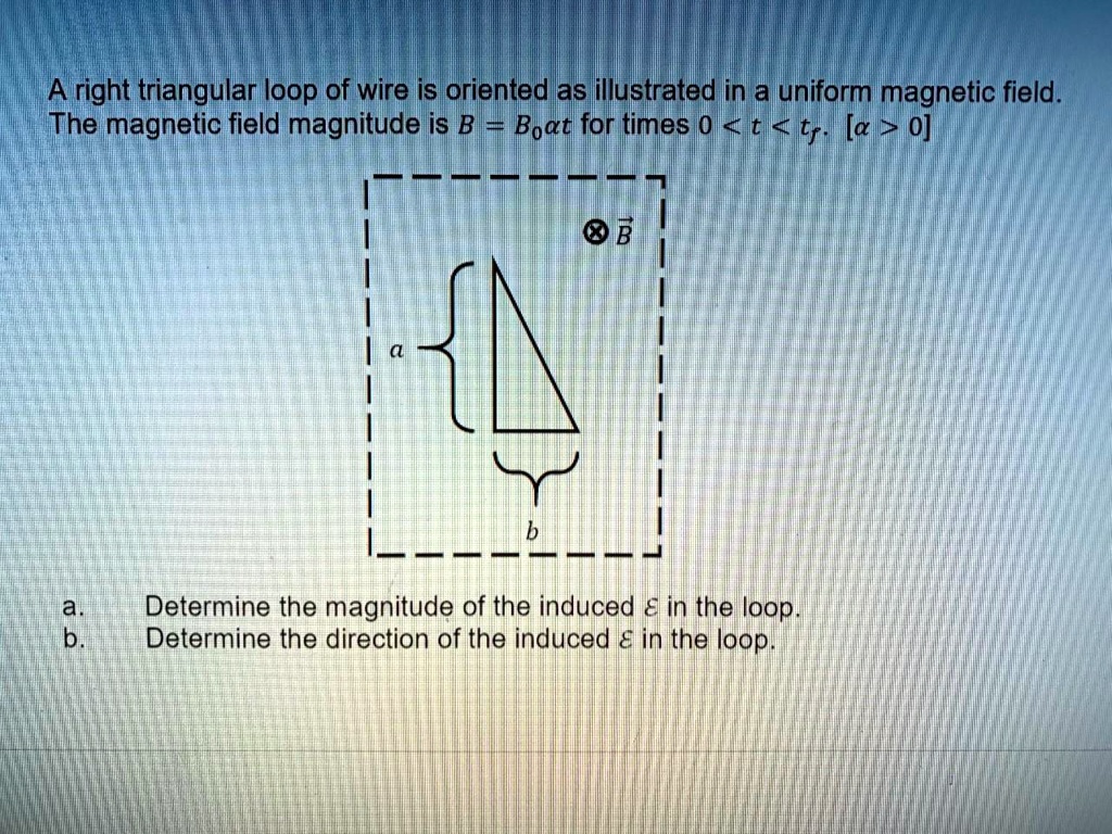 SOLVED: A right triangular loop of wire is oriented as illustrated in a uniform magnetic field ...