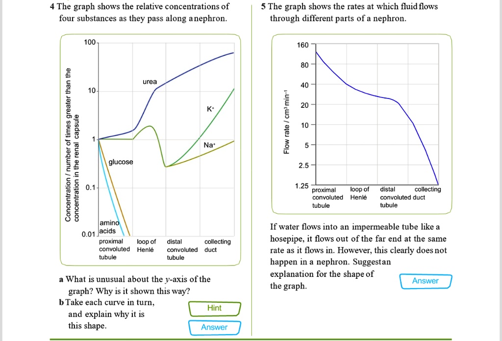 the graph shows the relative concentrations of four substances as they pass along anephron 5 the ...