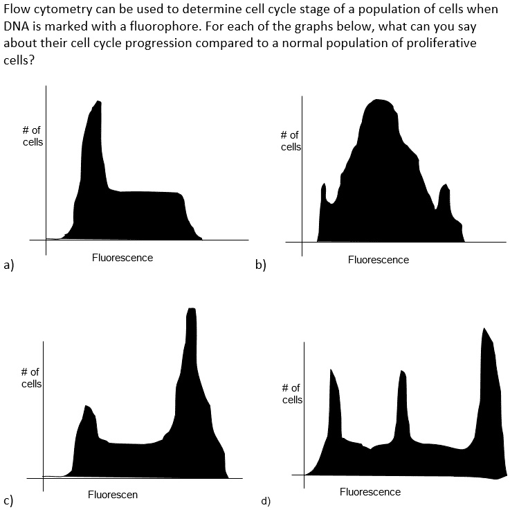 SOLVED: Flow cytometry can be used to determine the cell cycle stage of ...