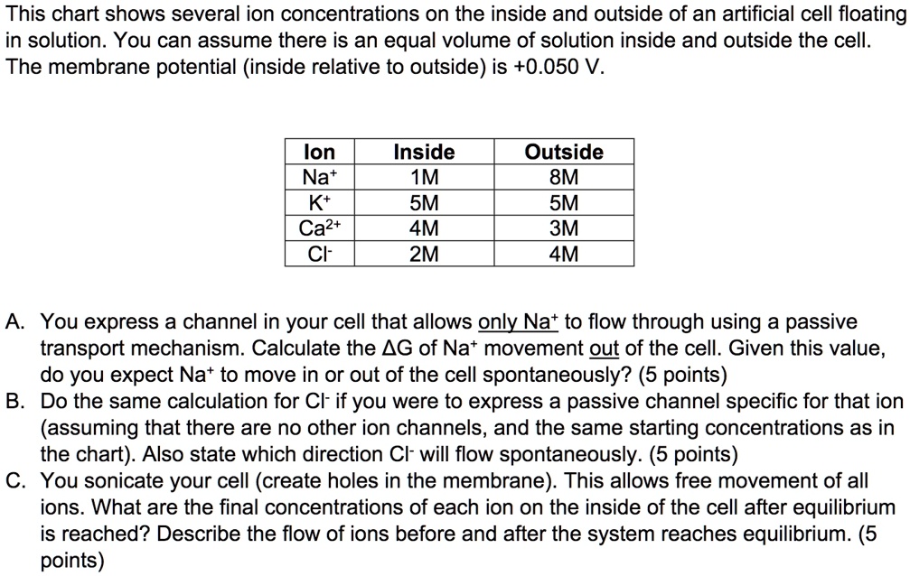 this chart shows several ion concentrations on the inside and outside of an artificial cell ...