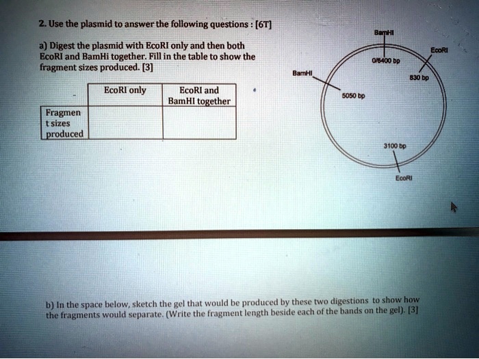 SOLVED: 2. Use the plasmid to answer the following questions : [6T] a) Digest the plasmid with ...