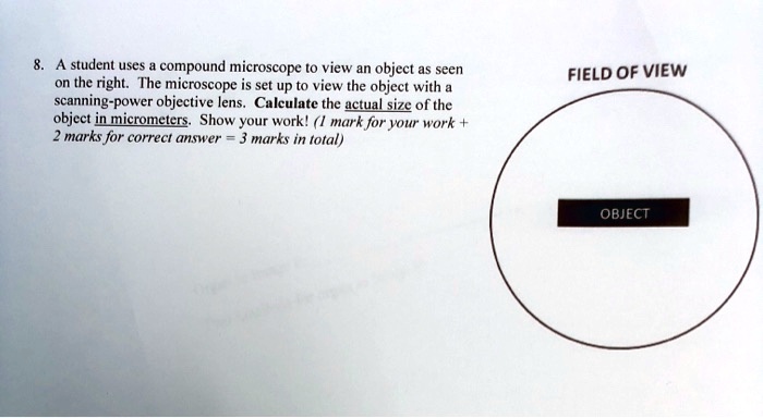 SOLVED: A student uses compound microscope t0 view an object as seen on ...