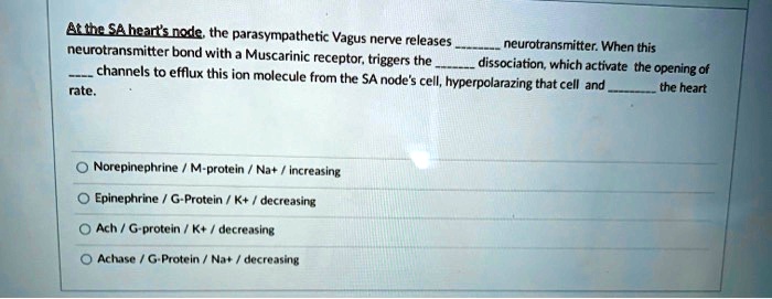 SOLVED: At the SA node, the parasympathetic Vagus nerve releases the ...