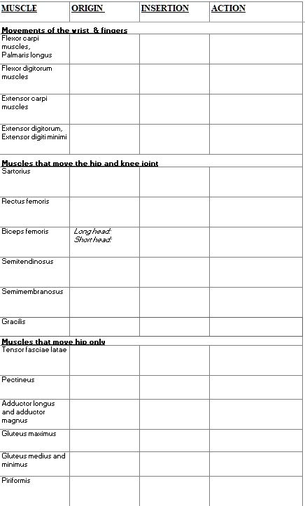 SOLVED: Fill in the Origin, Insertion, and Action of the following ...