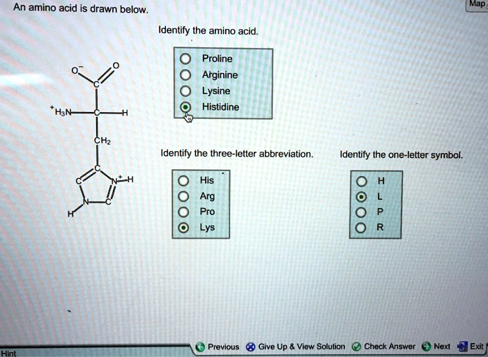 SOLVED: An amino acid is drawn below. Map Identify the amino acid ...