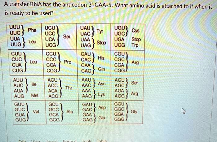 SOLVED: A transfer RNA has the anticodon 3'-GAA-5'. What amino acid is ...
