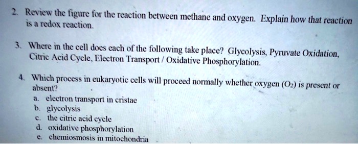 SOLVED: Review the figure for the reaction between methane and redox ...