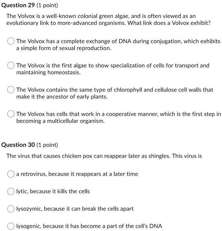 Question 29 (1 point) The Volvox is a well-known colonial green algae ...