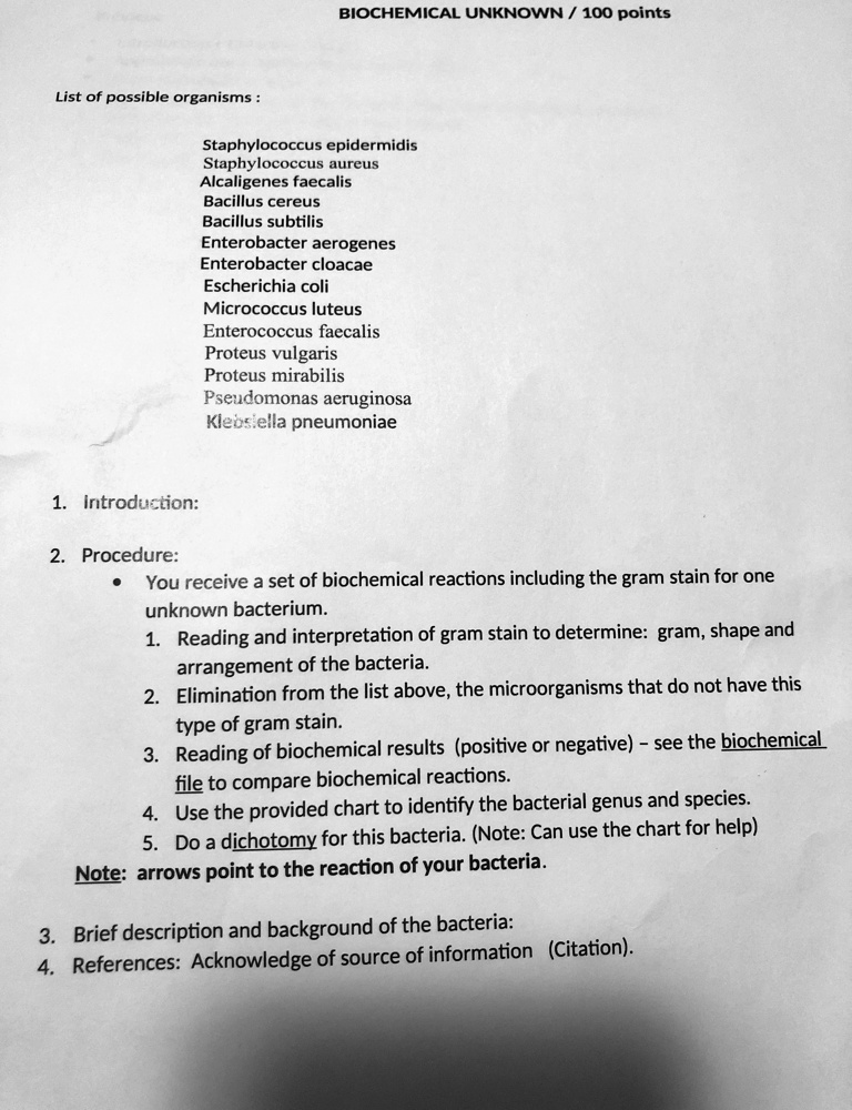 SOLVED: BIOCHEMICAL UNKNOWN 100 points List of possible organisms: Staphylococcus epidermidis ...