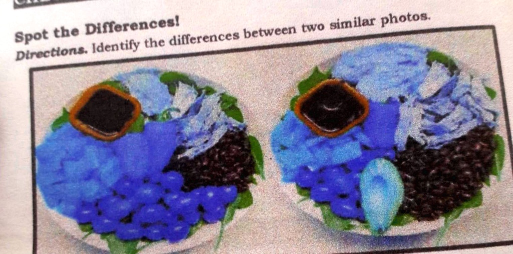 checking your understanding spot the differences directions identify ...