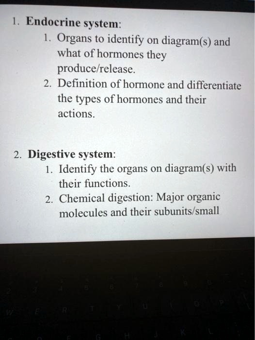 1. Endocrine system: 1. Organs to identify on diagram(s) and what of ...