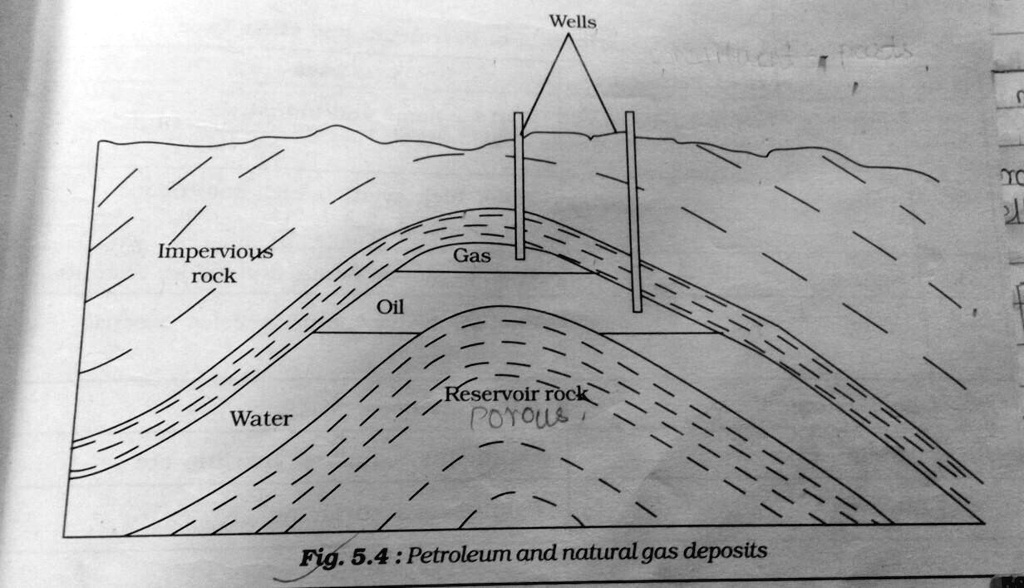 SOLVED: Draw the diagram of petroleum and natural gas deposition.