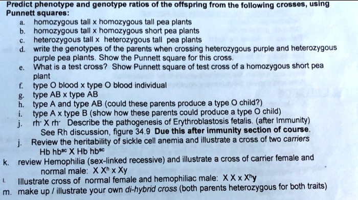 Predict phenotype and genotype ratios of the offspring from the ...