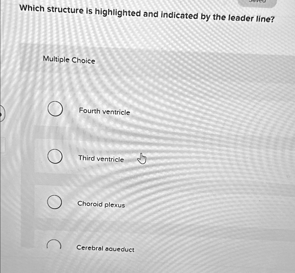 which structure is highlighted and indicated by the leader line multiple choice fourth ventricle ...