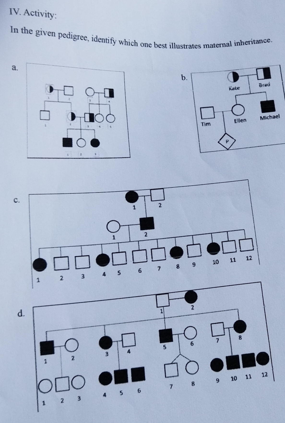 SOLVED: IV. Activity: In the given pedigree, identify which one best ...