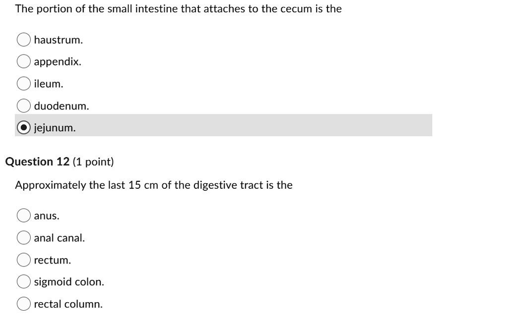 SOLVED: The portion of the small intestine that attaches to the cecum ...